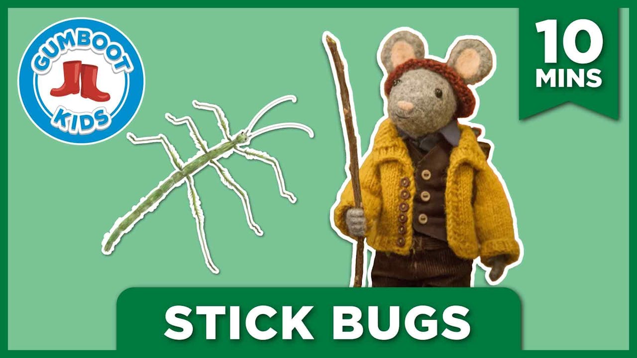 Sick Bugs - The Gumboot Kids - Yippee - Faith filled shows!