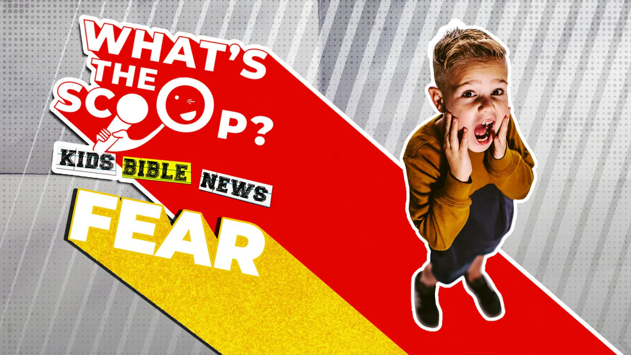 What's The Scoop | Episode 2 | Fear - What's The Scoop? - Yippee ...