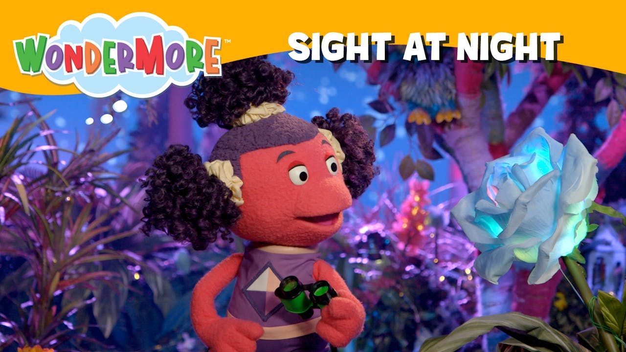 Sight at Night - Wondermore - Yippee - Faith filled shows!