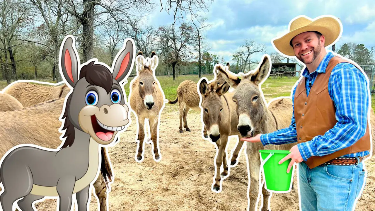 Let's Meet Rescue Donkeys | Donkey Farm Animals for Kids - Cowboy Jack ...