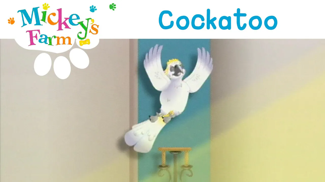 Cockatoo - Mickey's Farm - Yippee - Faith filled shows!