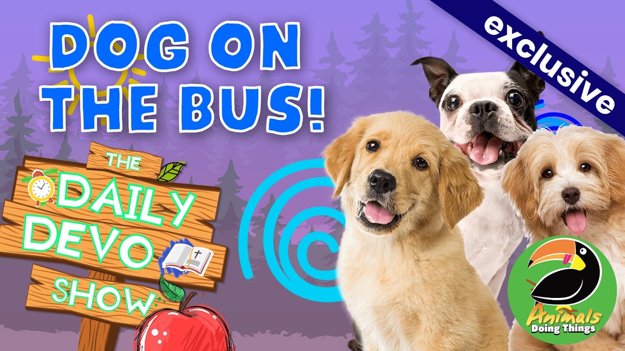 #366 - Dog On The Bus! - Season 1 - Yippee - Faith filled shows!