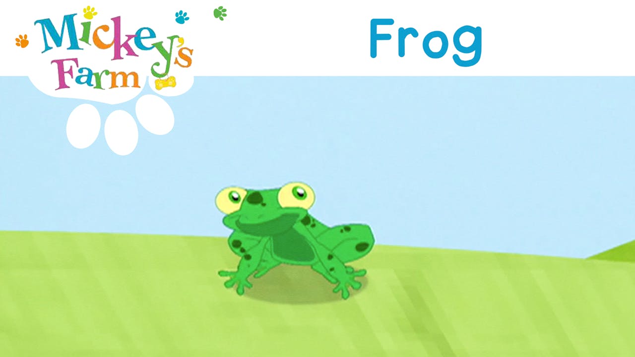 Frog - Yippee - Faith filled shows!