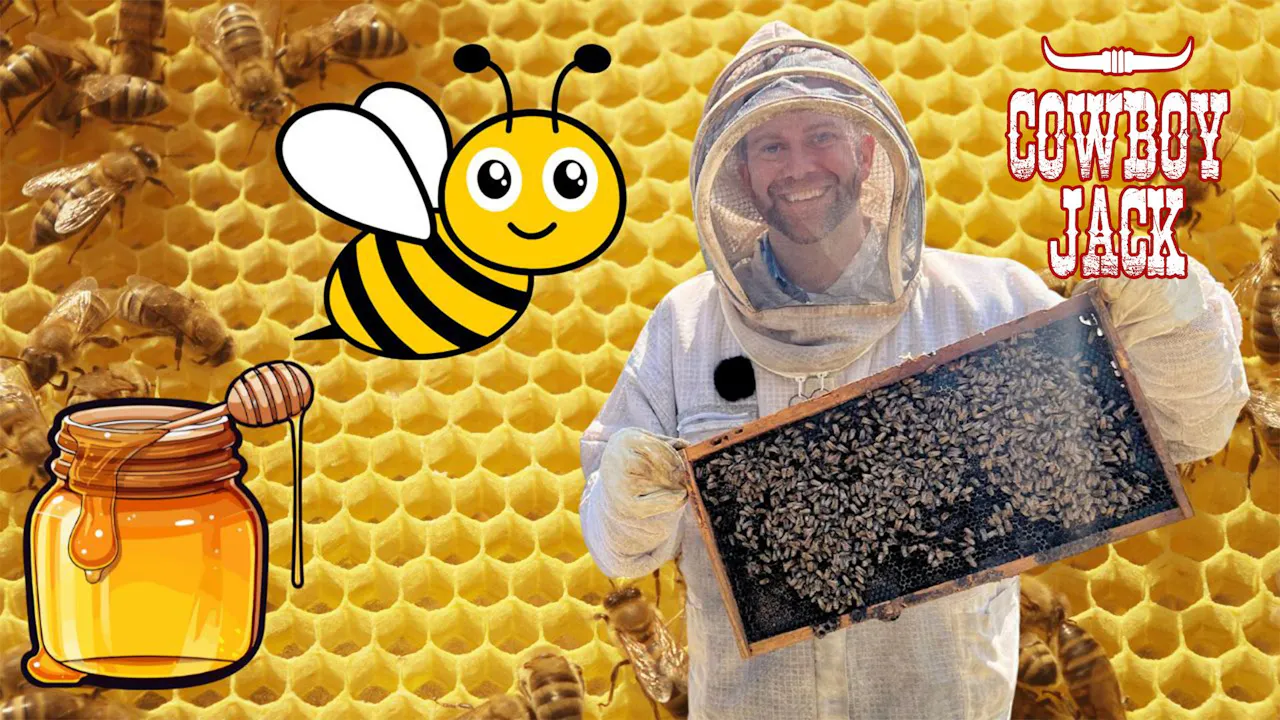 Learn about Bees with Cowboy Jack Bees for Kids - Cowboy Jack - Yippee ...