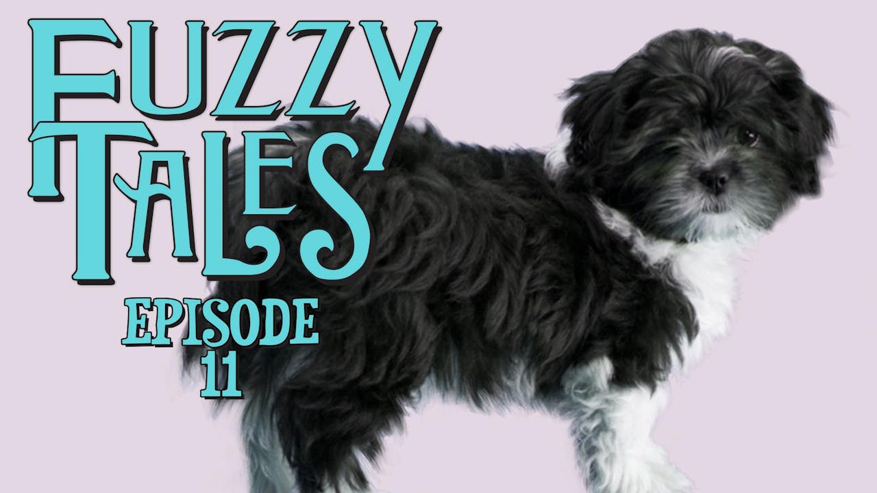 Pupocchio - Fuzzy Tales - Yippee - Faith filled shows!