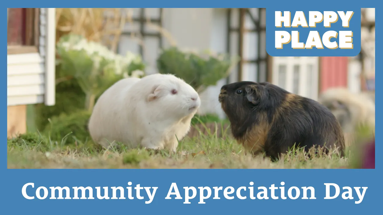 Community Appreciation Day - Happy Place - Yippee - Faith filled shows!