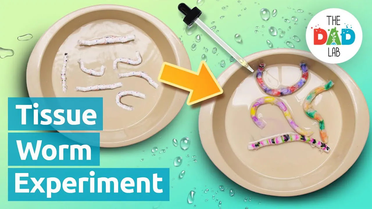 Cool Tissue Wiggly Worm Science Experiment - TheDadLab - Yippee - Faith ...