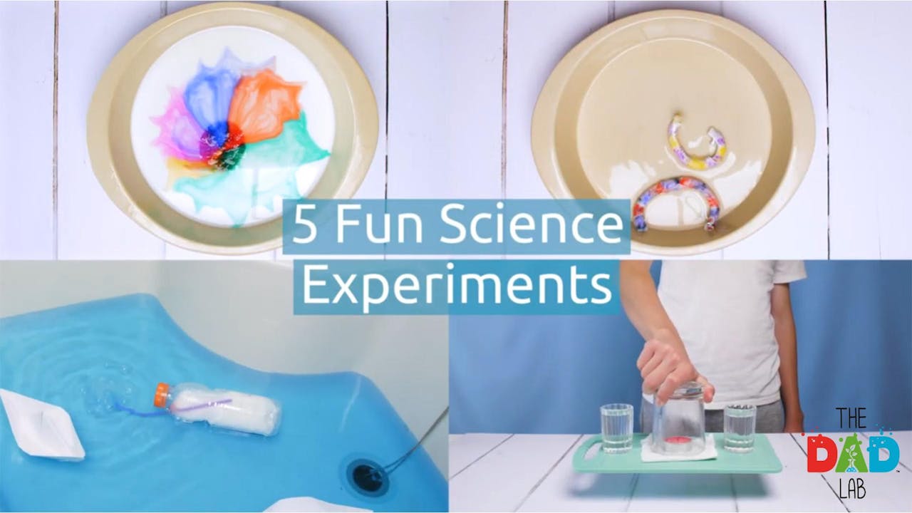 5 Easy Science Experiments Using Materials You Already Have On Hand ...