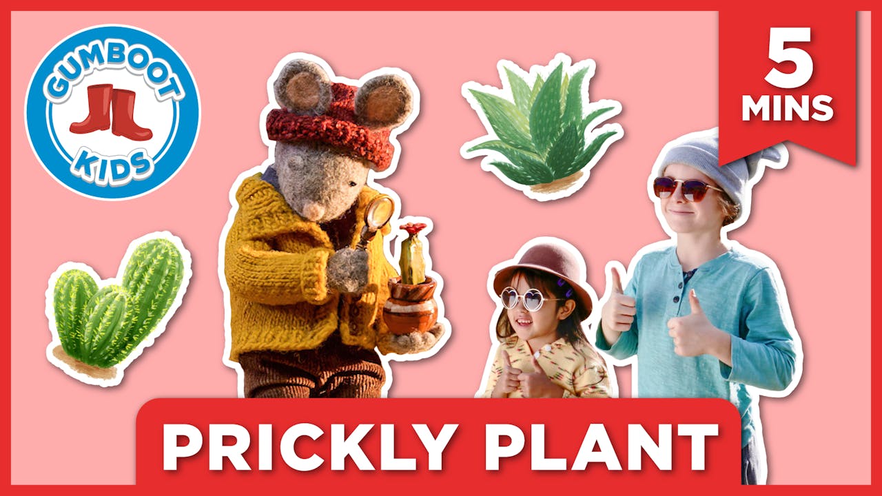 Cactus - Scout and Gumboot Kids Series - Yippee - Faith filled shows!