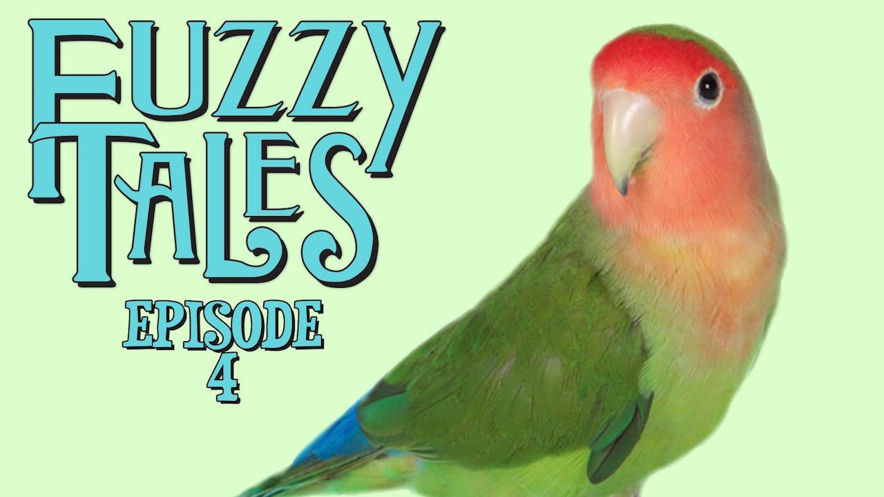 Prubelina - Fuzzy Tales - Yippee - Faith filled shows!