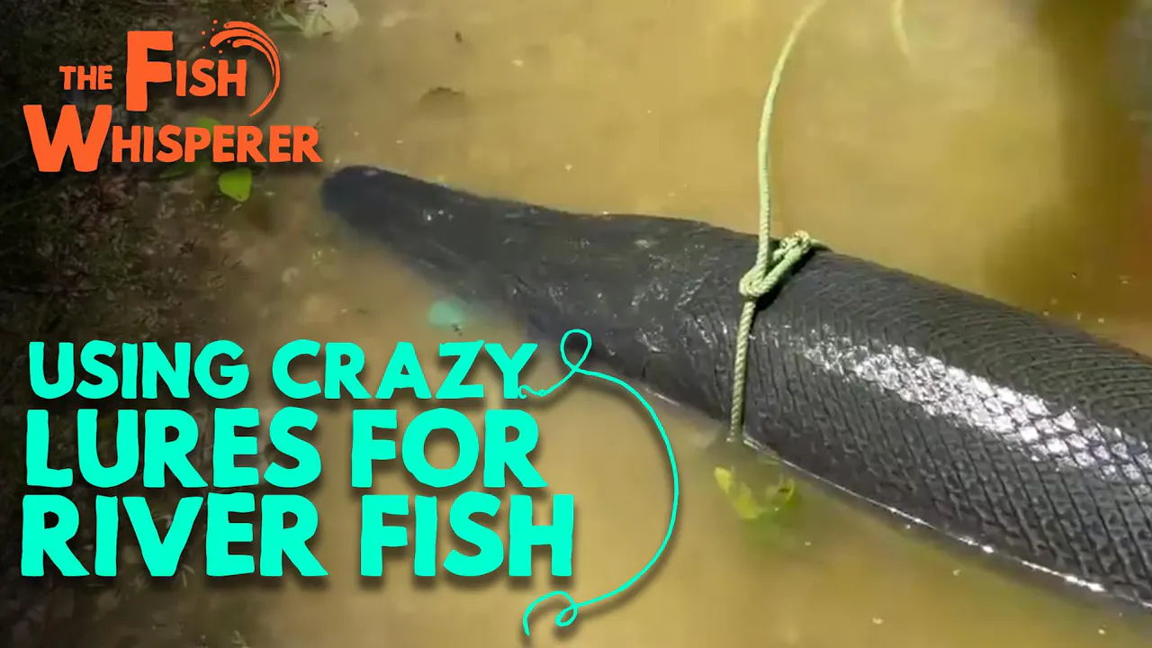 Using CRAZY Lures for River MONSTERS! - The Fish Whisperer - Yippee ...