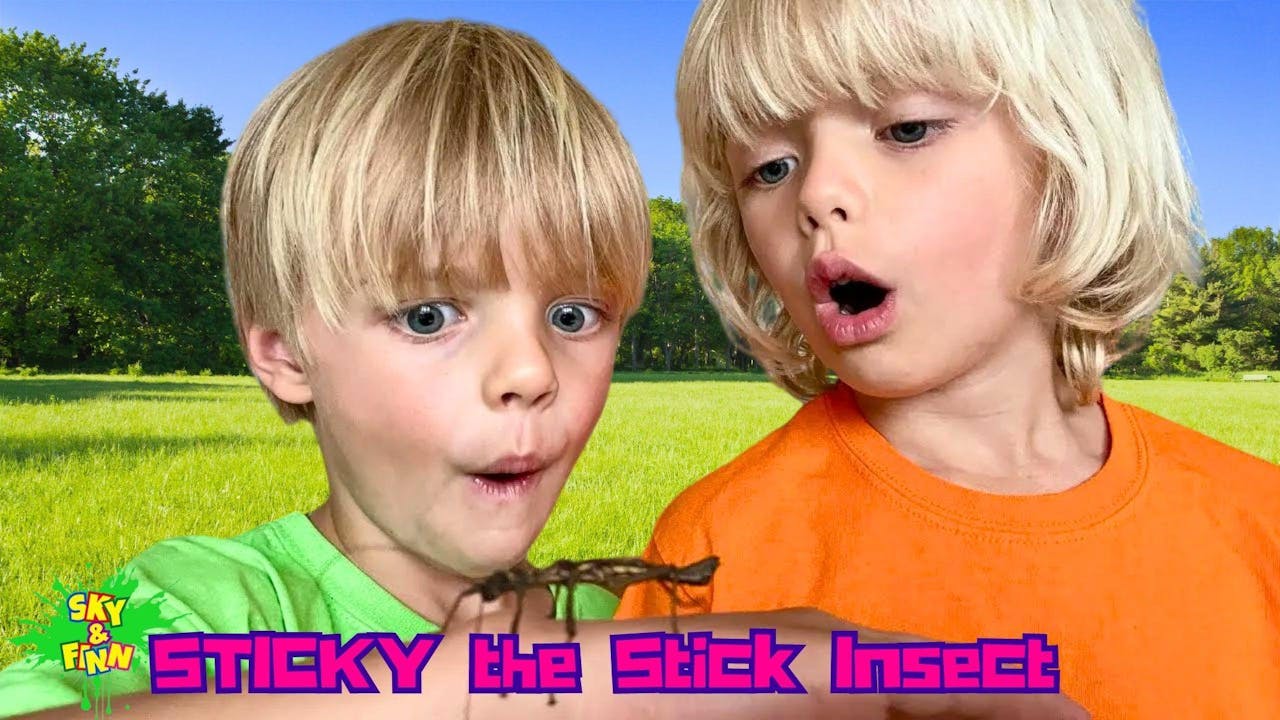 Sticky The Stick Insect - Sky and Finn - Yippee - Faith filled shows!