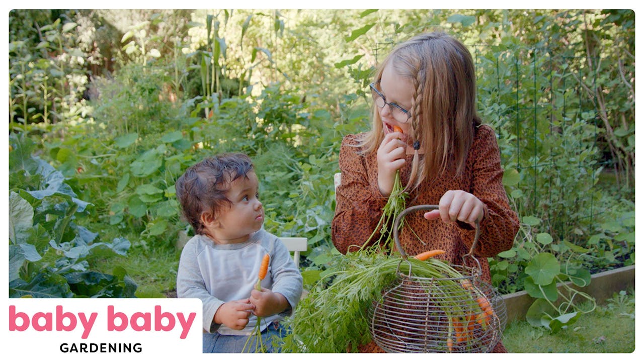 Gardening - Baby Baby - Yippee - Faith filled shows!