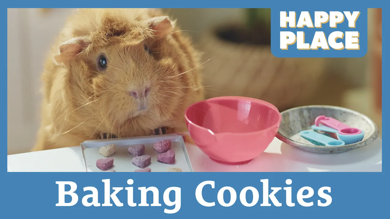 Baking Cookies - Happy Place - Yippee - Faith filled shows!