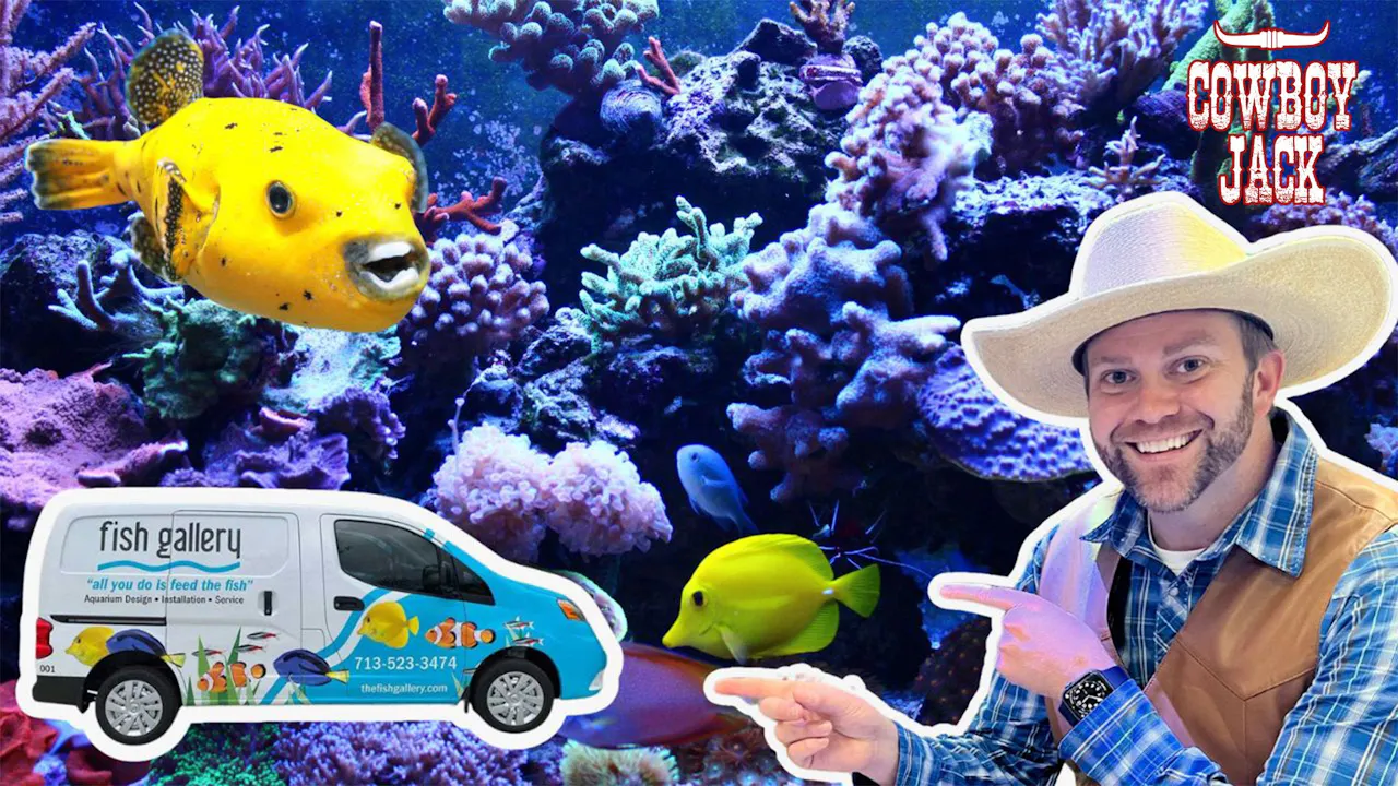 Fun Learning At The Fish Store: Discover Fascinating Fish! - Cowboy ...
