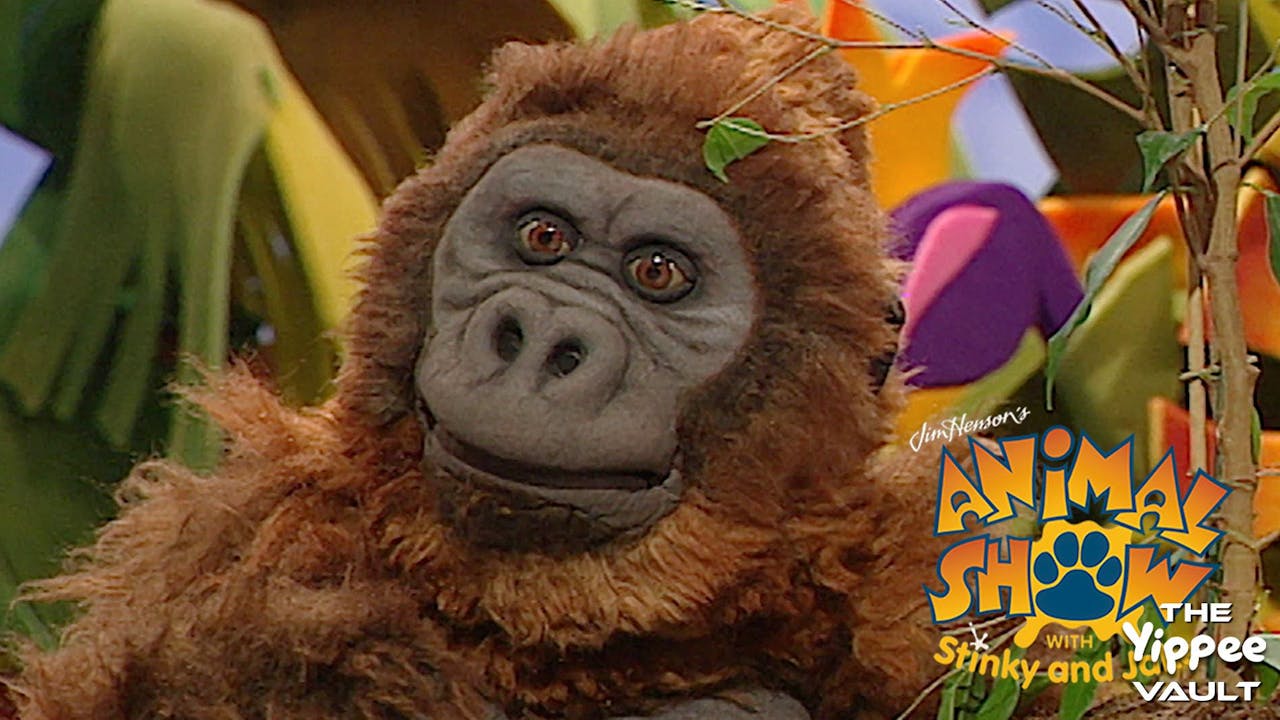 Rhino & Gorilla - Animal Show with Stinky and Jake - Yippee - Faith ...