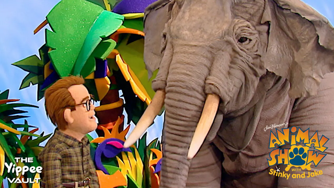 Indian Elephant & Human - Animal Show with Stinky and Jake - Yippee ...
