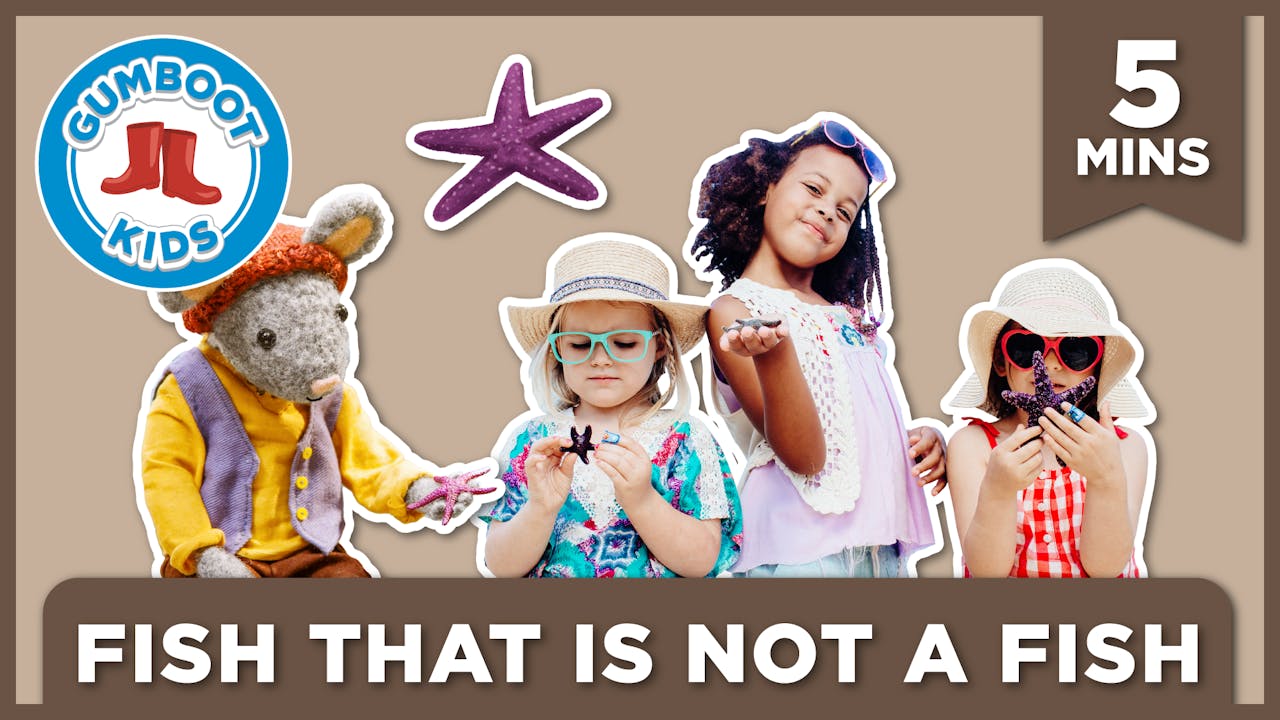 Fish That is Not a Fish - Yippee - Faith filled shows!