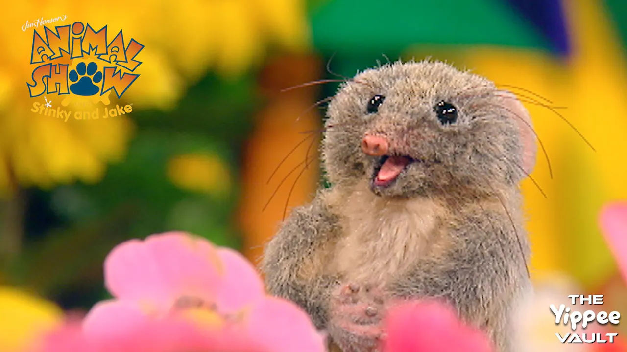 Honey Bee & Honey Possum - Animal Show with Stinky and Jake - Yippee ...