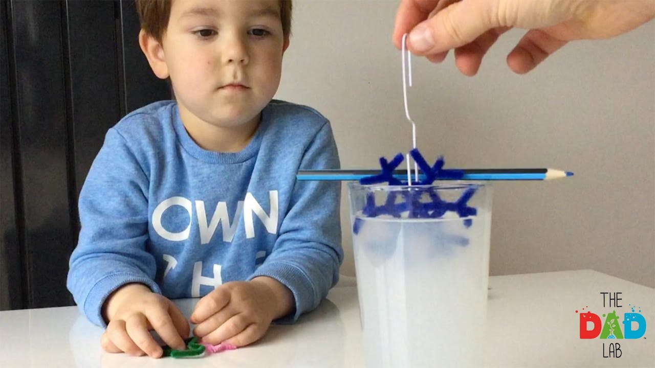 Borax Crystal Snowflake Experiment - TheDadLab - Yippee - Faith filled shows!