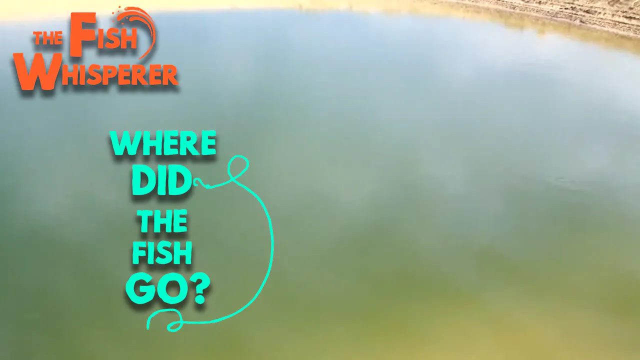 Where Did the Fish Go? - The Fish Whisperer - Yippee - Faith filled shows!