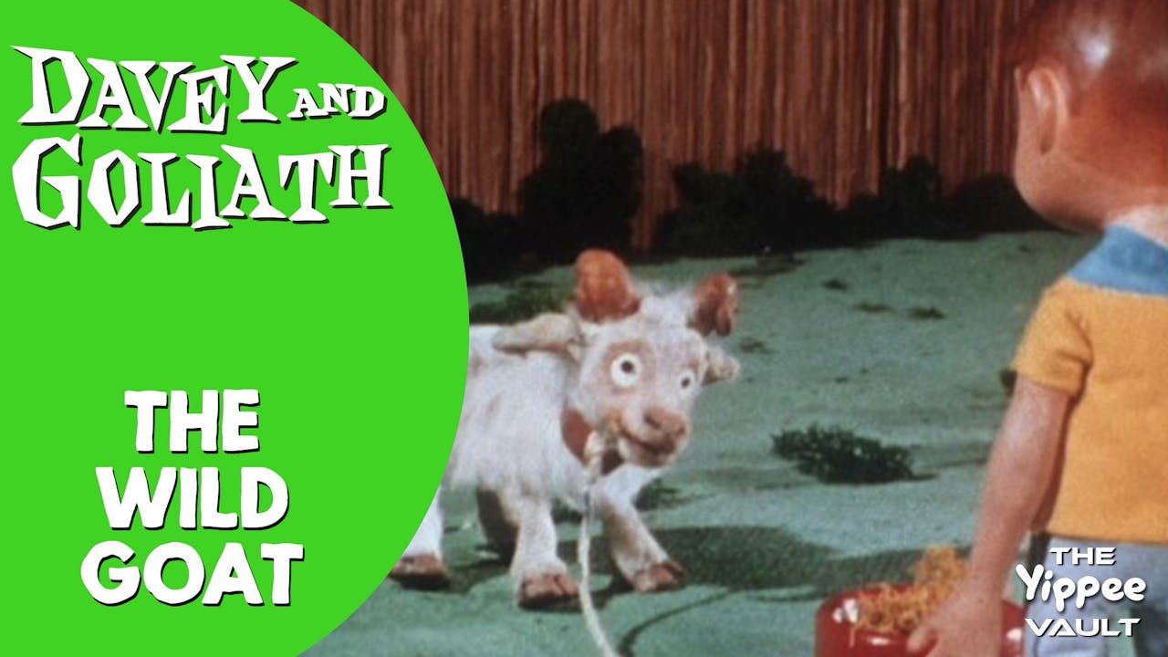 The Wild Goat - The Vault - Yippee - Faith filled shows!