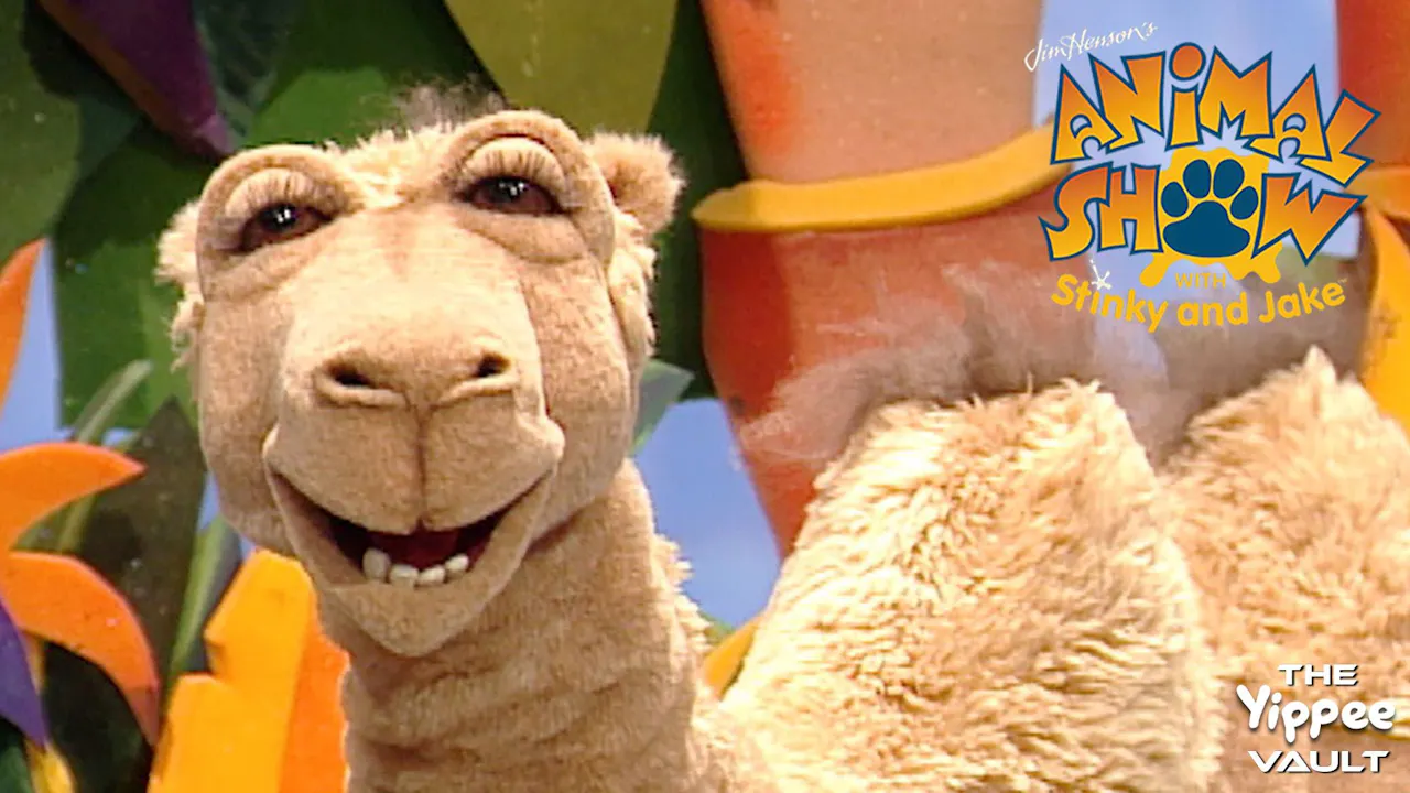 Arctic Fox & Camel - Animal Show with Stinky and Jake - Yippee - Faith ...