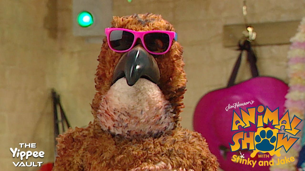 Shark & Sea Lion - Animal Show with Stinky and Jake - Yippee - Faith ...