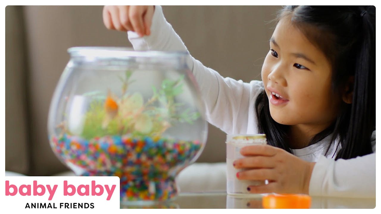 Animals Friends - Baby Baby - Yippee - Faith filled shows!