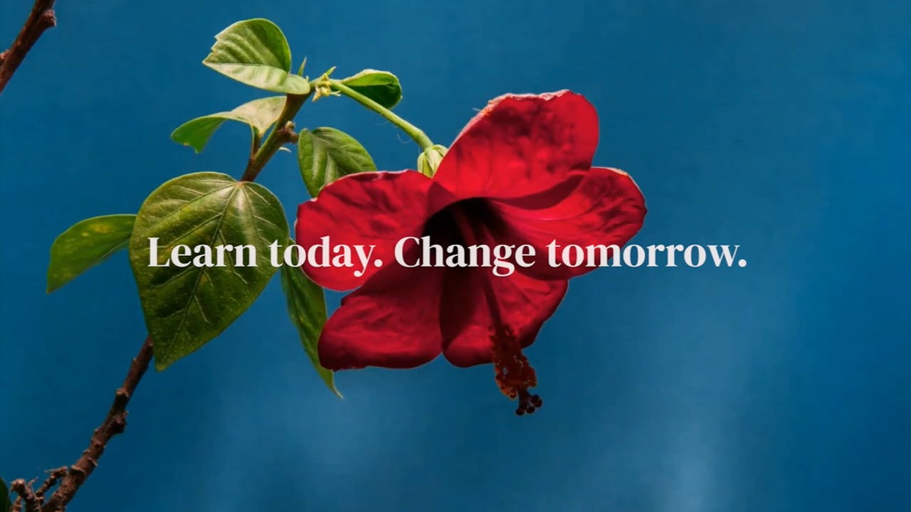 Introduction to Learnflix! - LEARNFLIX