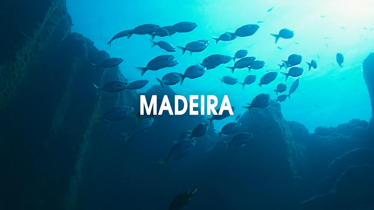 Madeira | Blue Seas, Green Mountains, and The People Inbetween - World ...