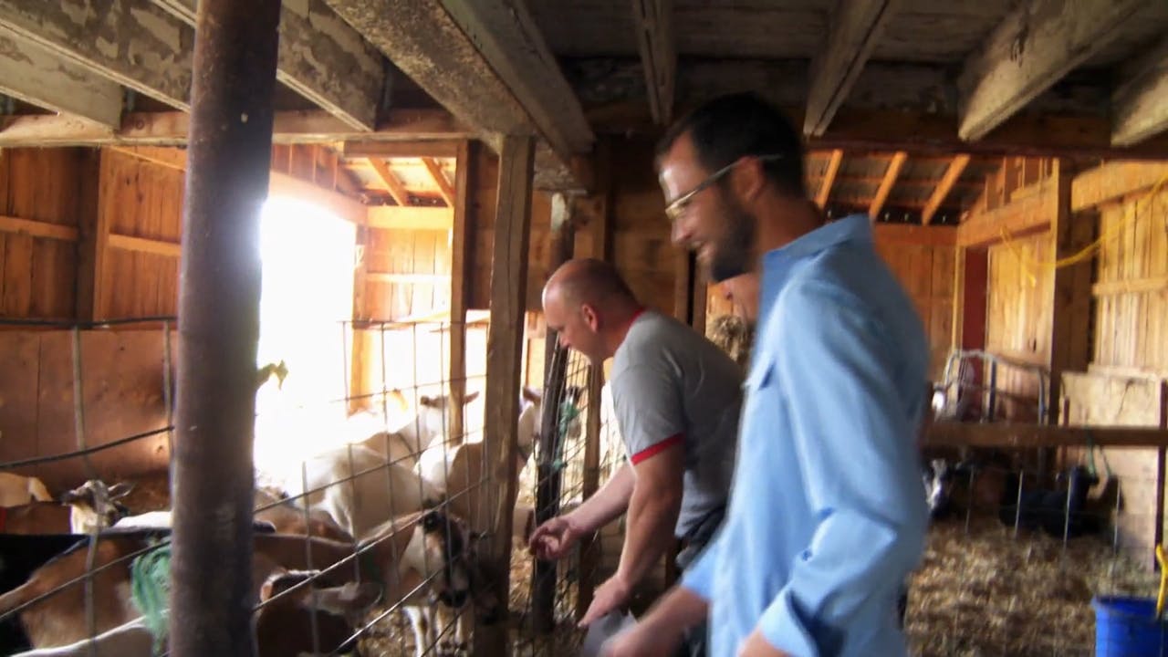 Suds & Studs - WOW Presents Plus