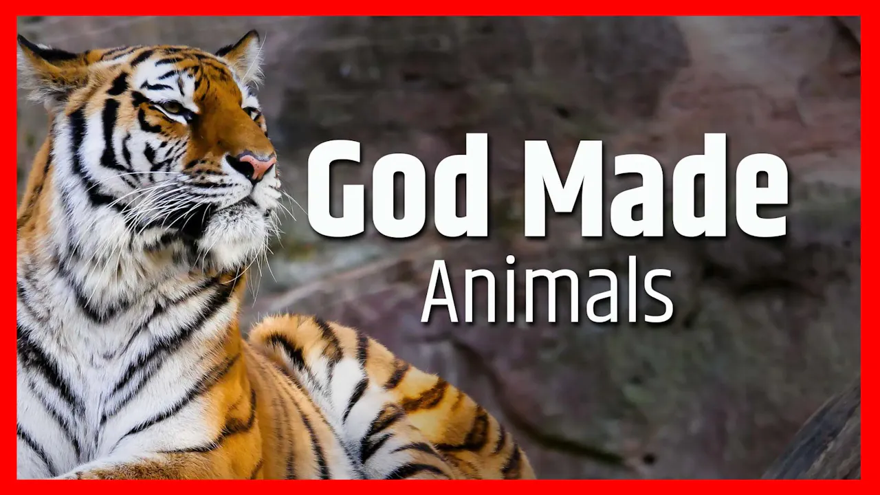 God Made Animals - WVBS