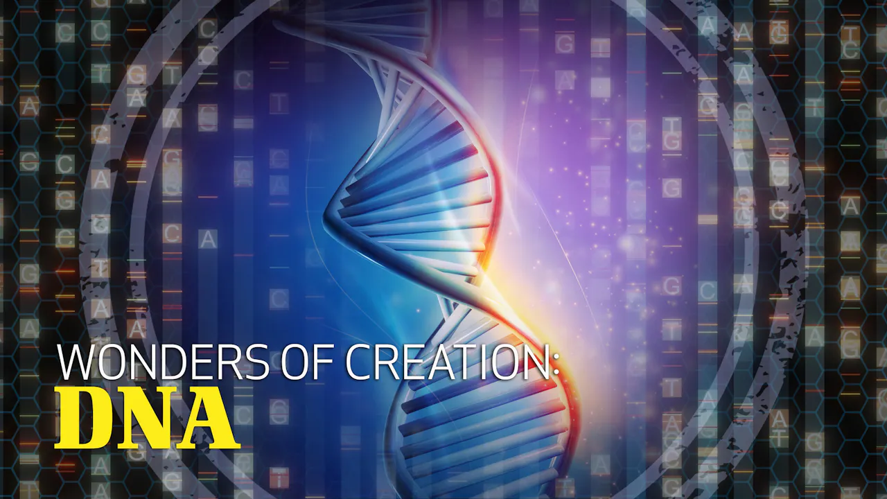 Wonders of Creation: DNA - WVBS