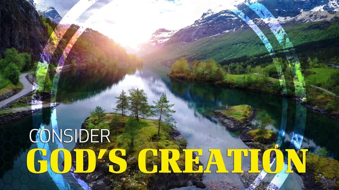 Wonders of Creation: Consider God's Creation - WVBS