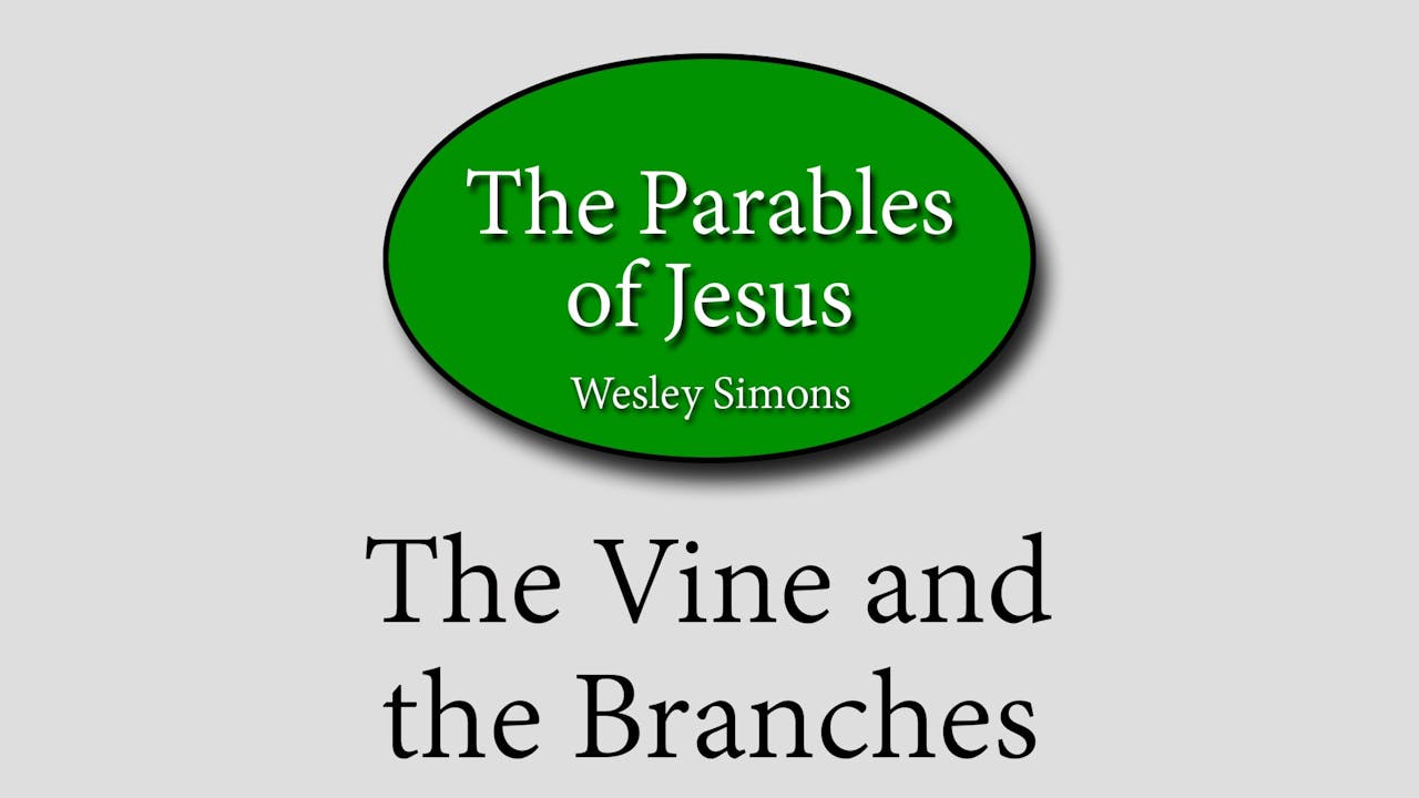 23. The Vine and the Branches | Parables of Jesus - WVBS