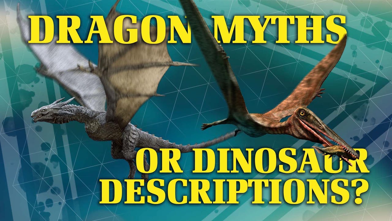 Dragon Myths or Dinosaur Descriptions? - WVBS