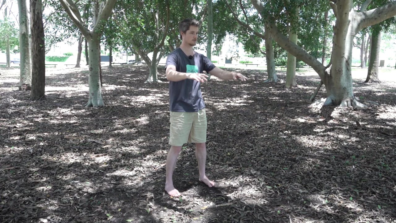 Taiji/Bagua Qigong Week 20 Class 1 - WTBA Foundations Training Program