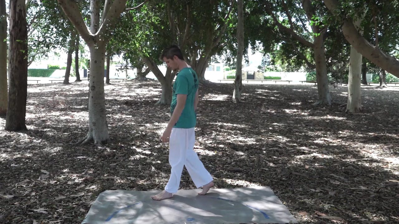 Taiji Week 17 Class 2 - WTBA Foundations Training Program