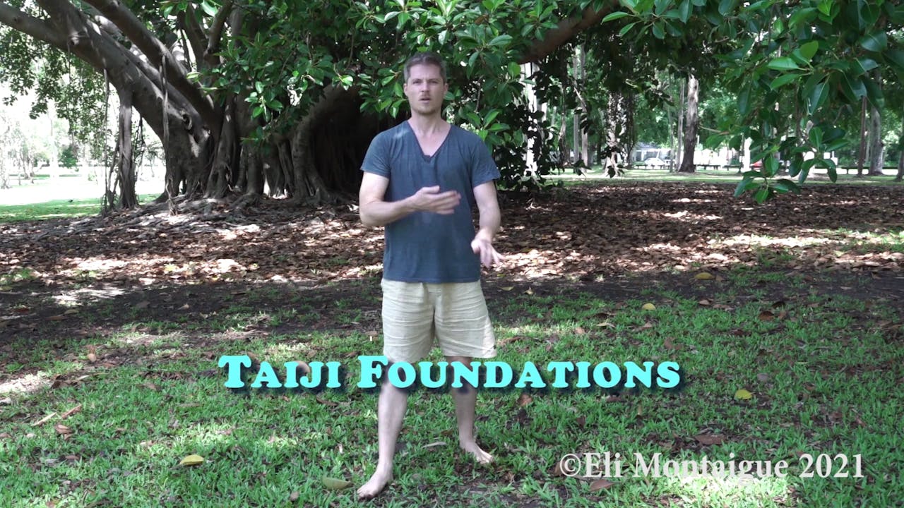 Taiji Week 31 Class 3 - WTBA Foundations Training Program