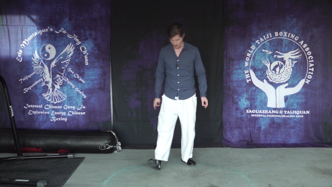 Taiji Week 51 Class 3 - WTBA Foundations Training Program