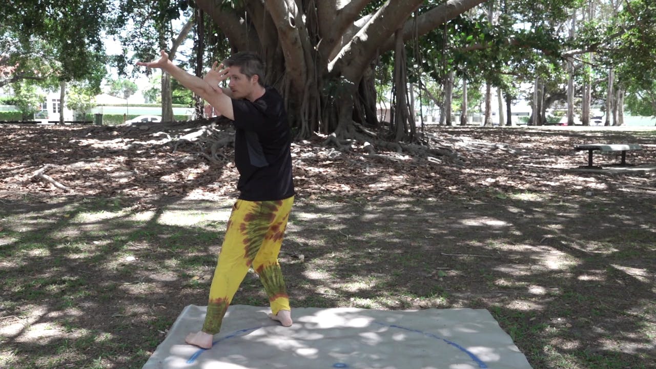 Bagua Week 15 Class 1 - WTBA Foundations Training Program