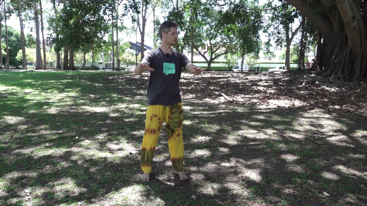 Taiji Week 13 Class 3 - WTBA Foundations Training Program