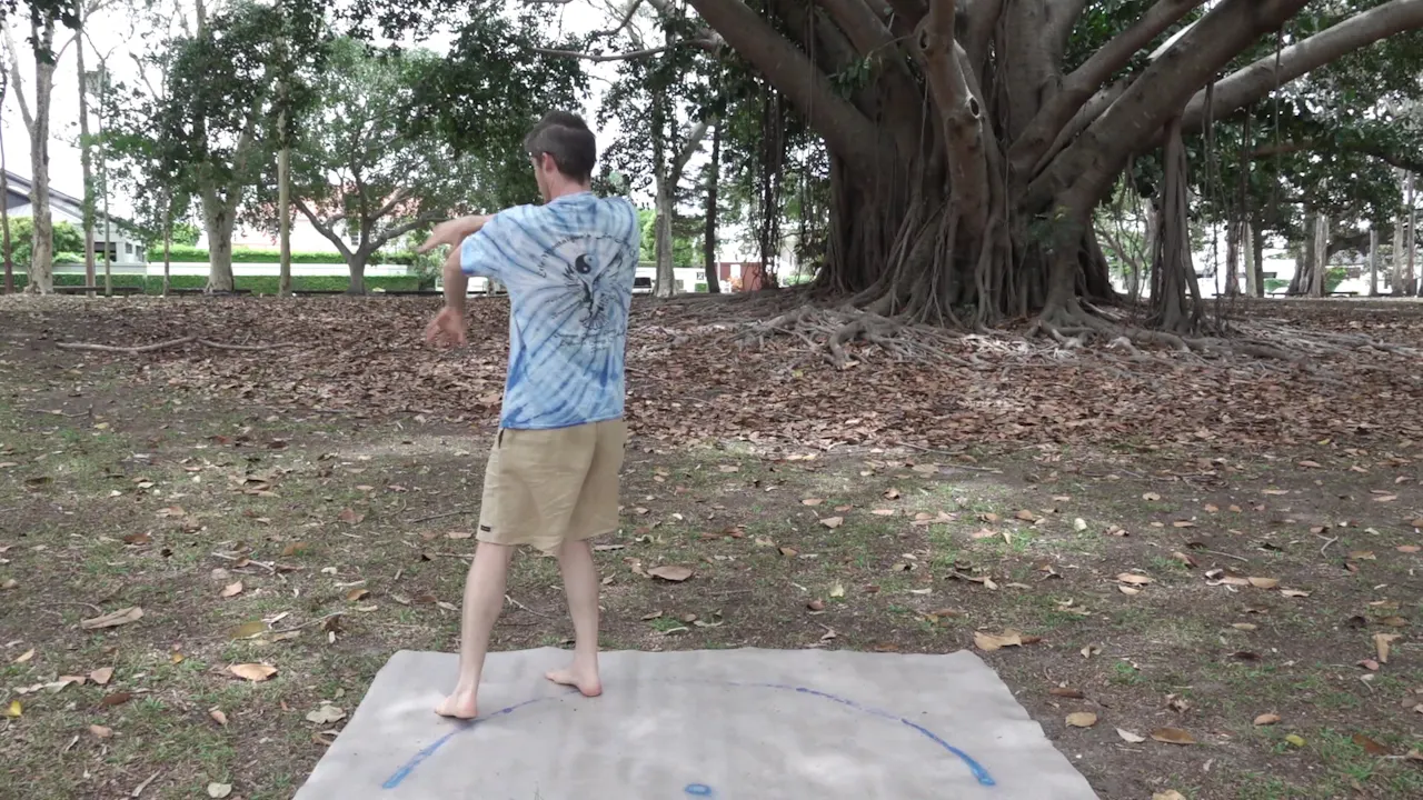 Bagua Week 18 Class 1 - WTBA Foundations Training Program