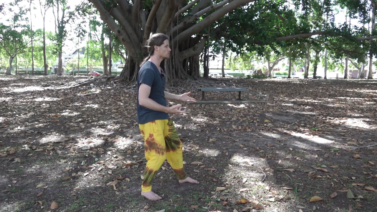 Taiji Week 8 Class 2 - WTBA Foundations Training Program