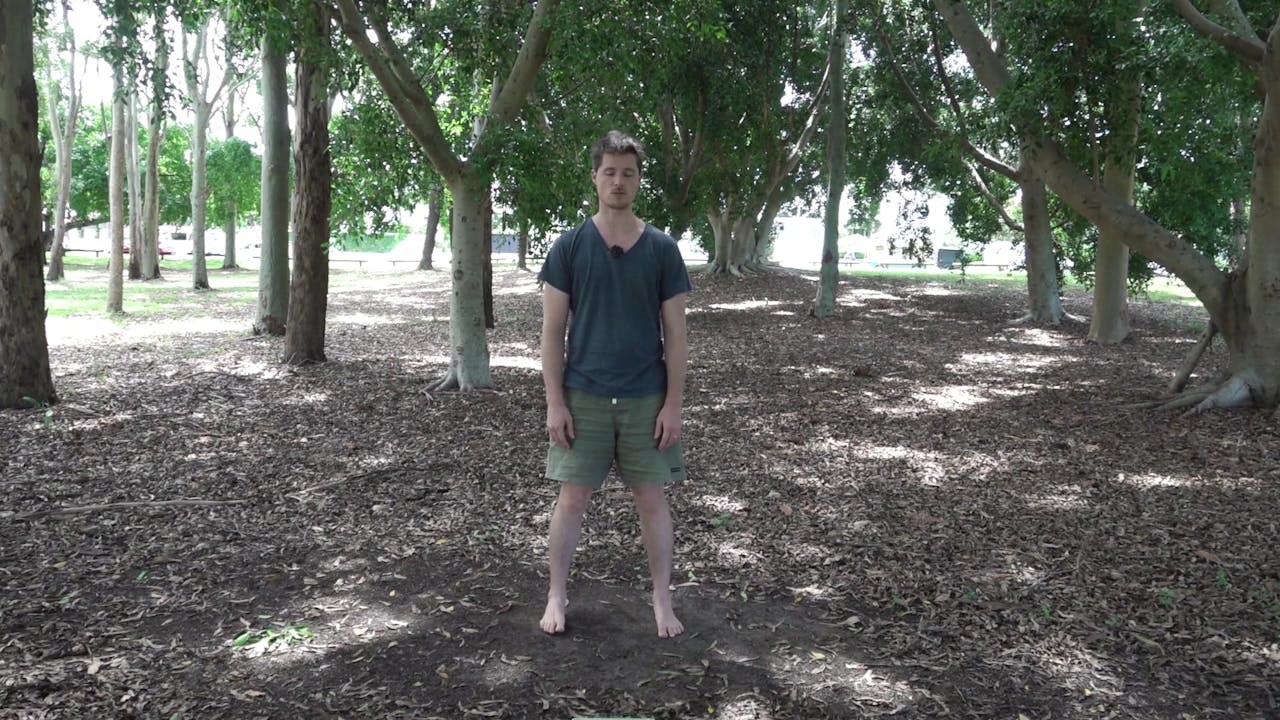 Qigong Week 24 Class 1 - WTBA Foundations Training Program