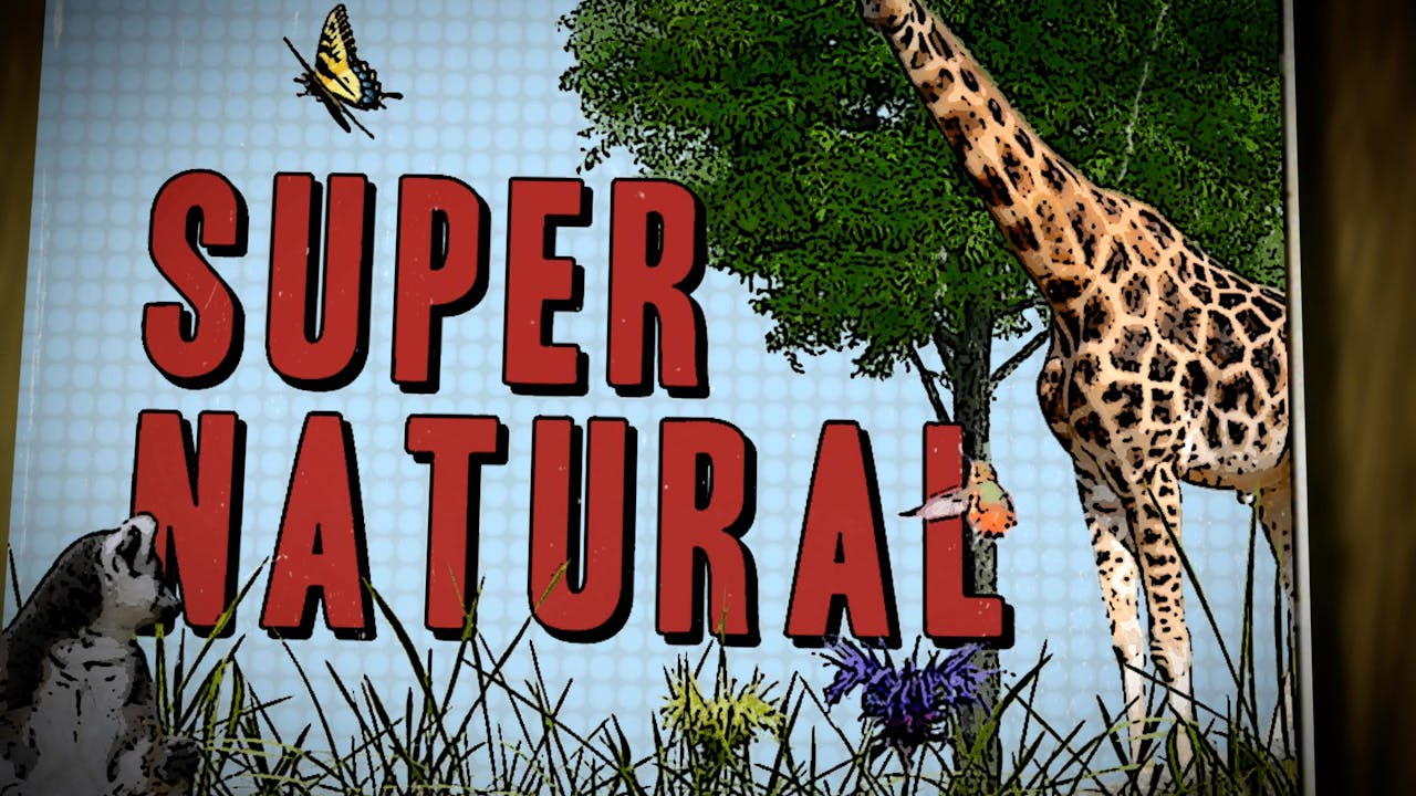 S2 Ep 4 Super Natural - Season 2 - Xploration Station