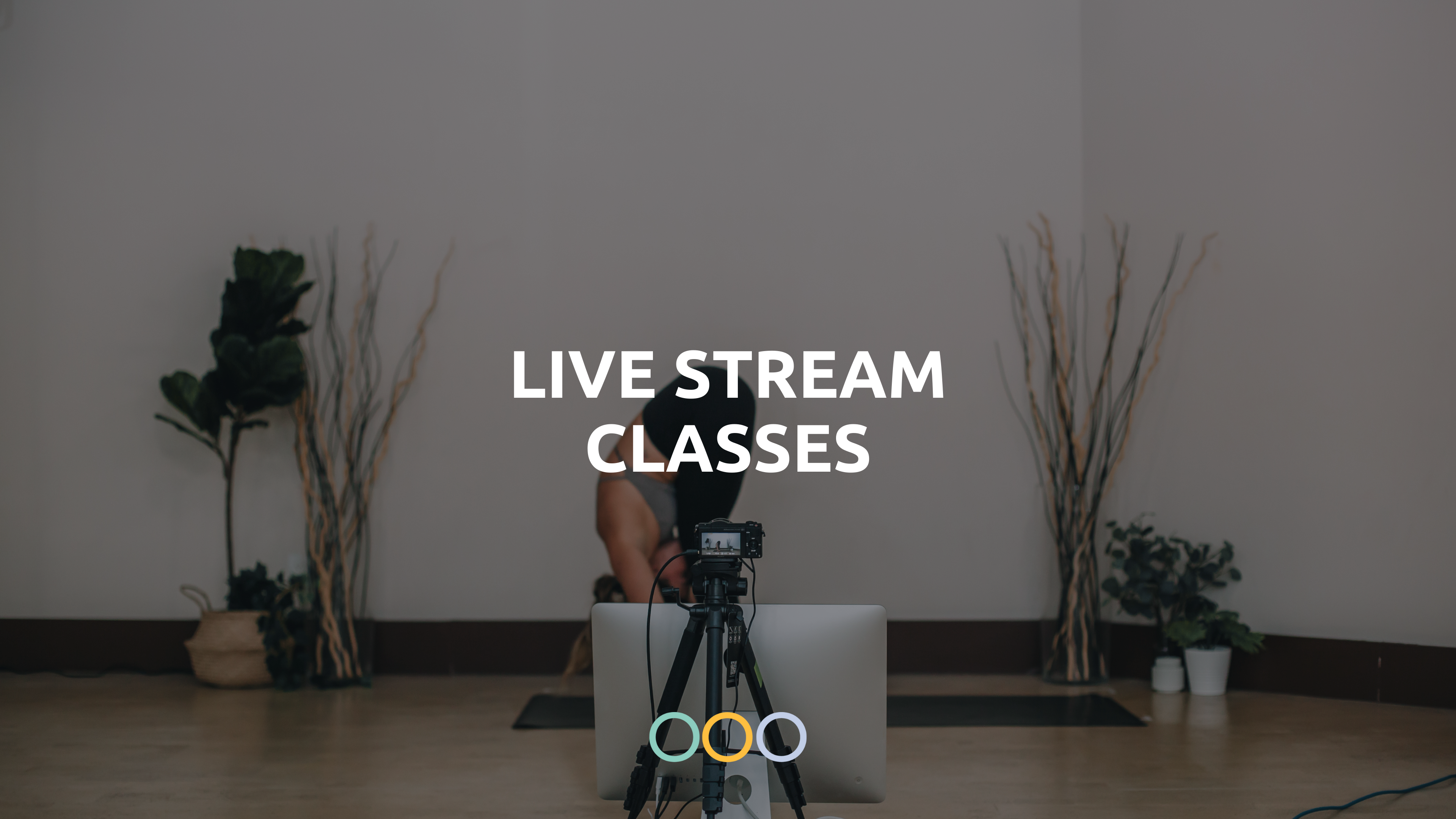 Live Stream Zoom Sessions - YOGALIFE ANYWHERE