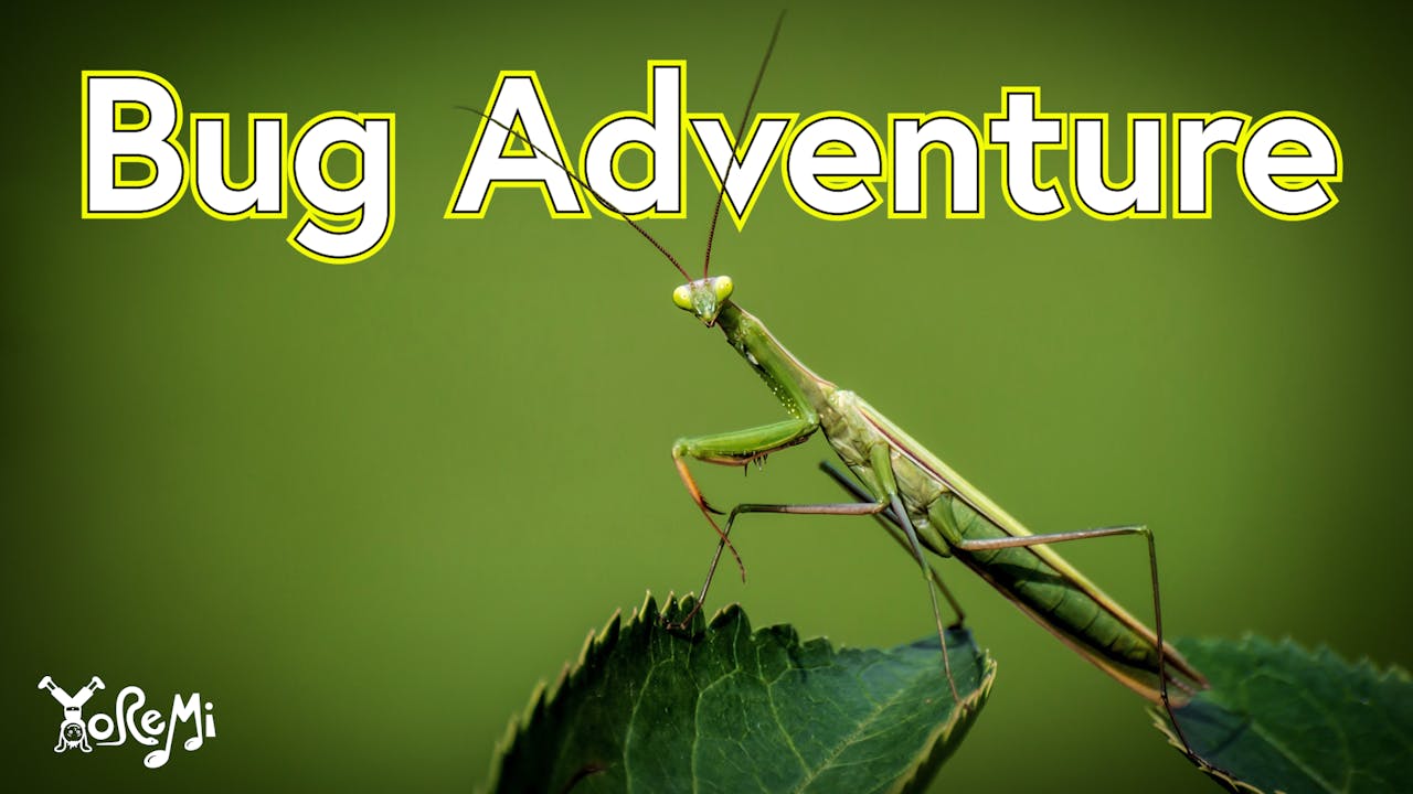 Bug Adventure - Adventures - Yo Re Mi