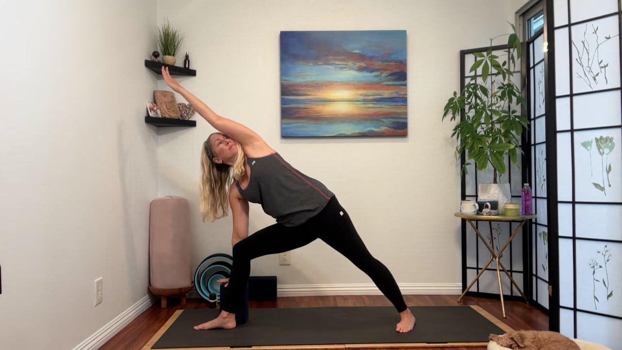 75 min Vinyasa Flow 2-3 w/ Jesse The Skill of Staying Present 1/22/24 - YogaWorks